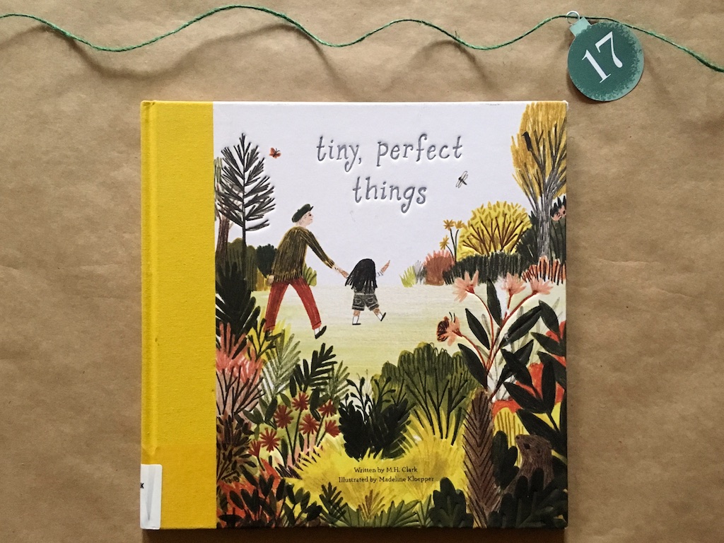25 Days – Book 17: Tiny, Perfect Things – Three Books a Night