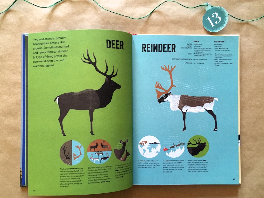 25 Days – Book 13: What’s the Difference? – Three Books a Night