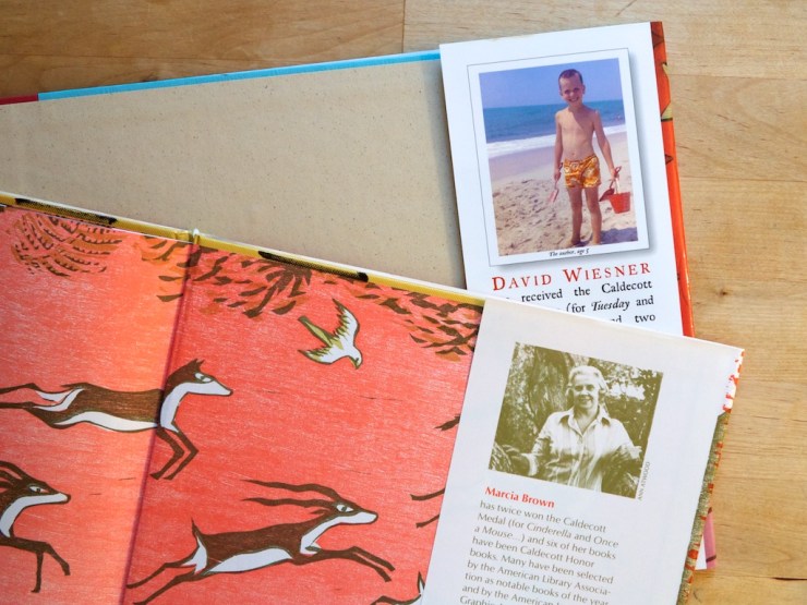 10 Things To Know About The Caldecott Medal – Three Books a Night