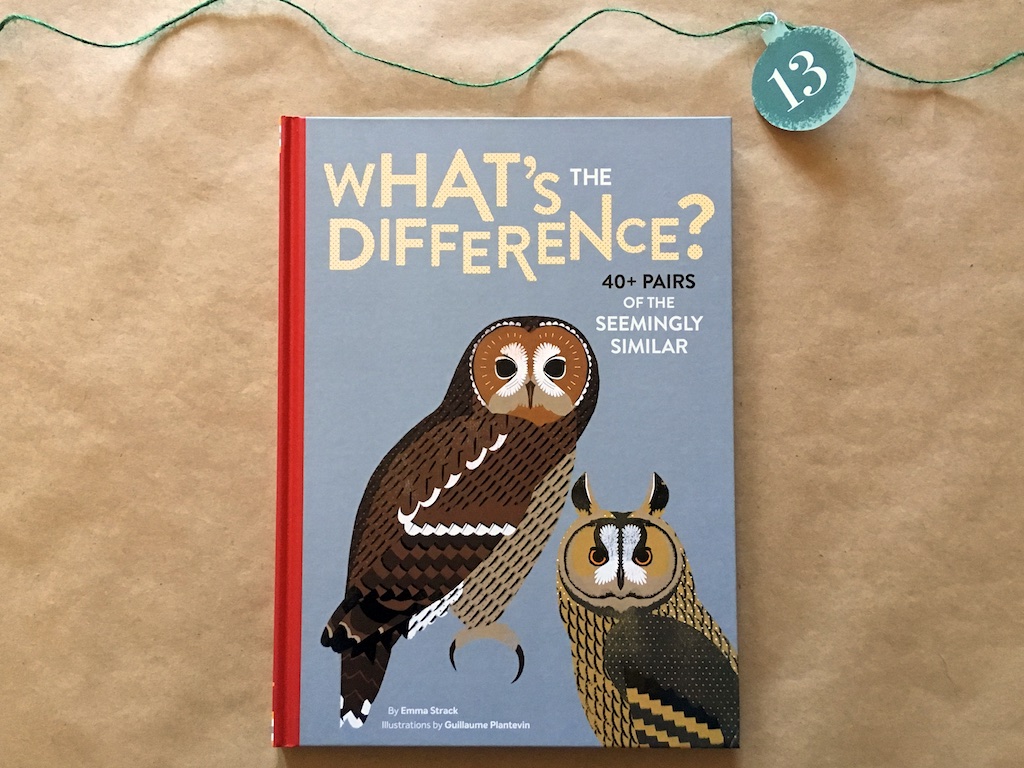 25 Days – Book 13: What’s the Difference? – Three Books a Night