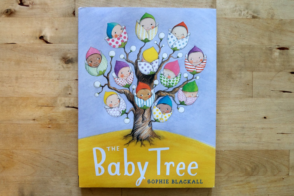 Book Review: The Baby Tree By Sophie Blackall – Three Books a Night
