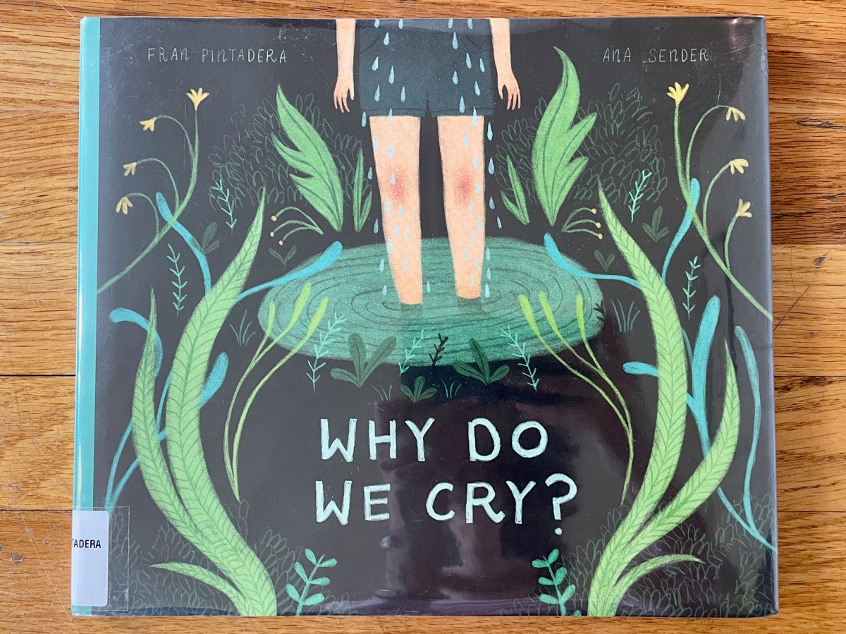 Review: Why Do We Cry? By Pintadera & Sender – Three Books a Night