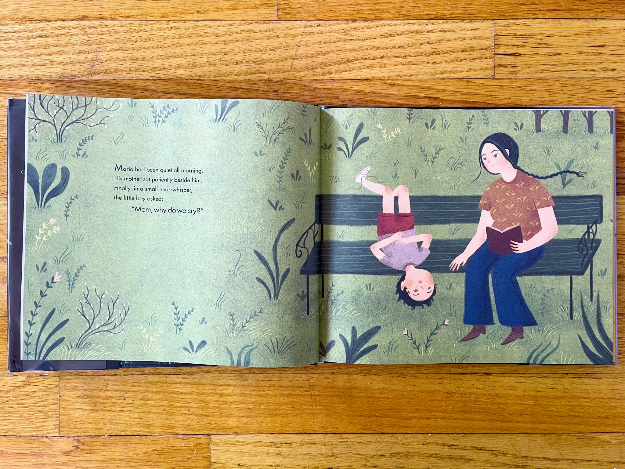 Review: Why Do We Cry? By Pintadera & Sender – Three Books a Night