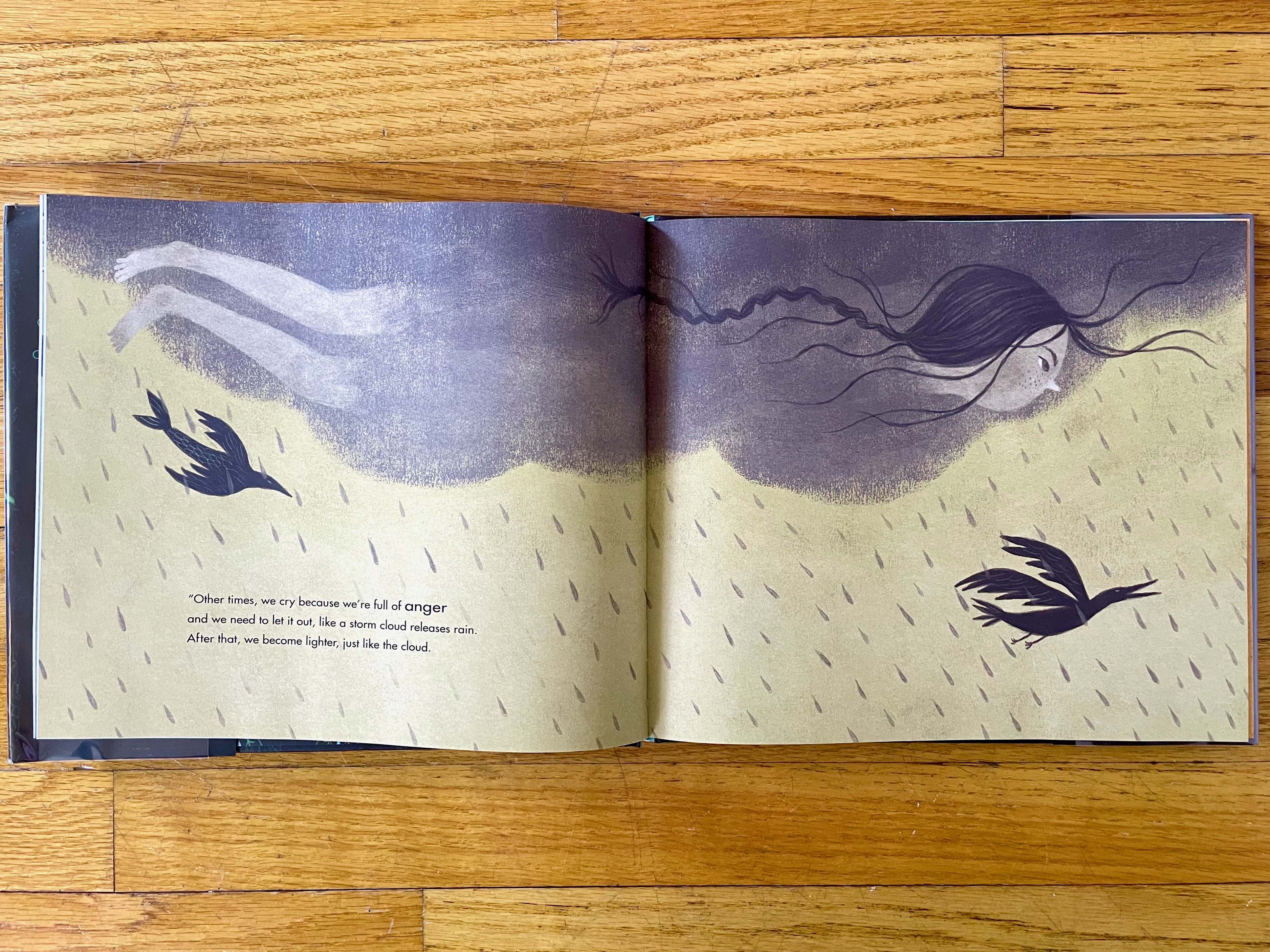 Review: Why Do We Cry? By Pintadera & Sender – Three Books a Night