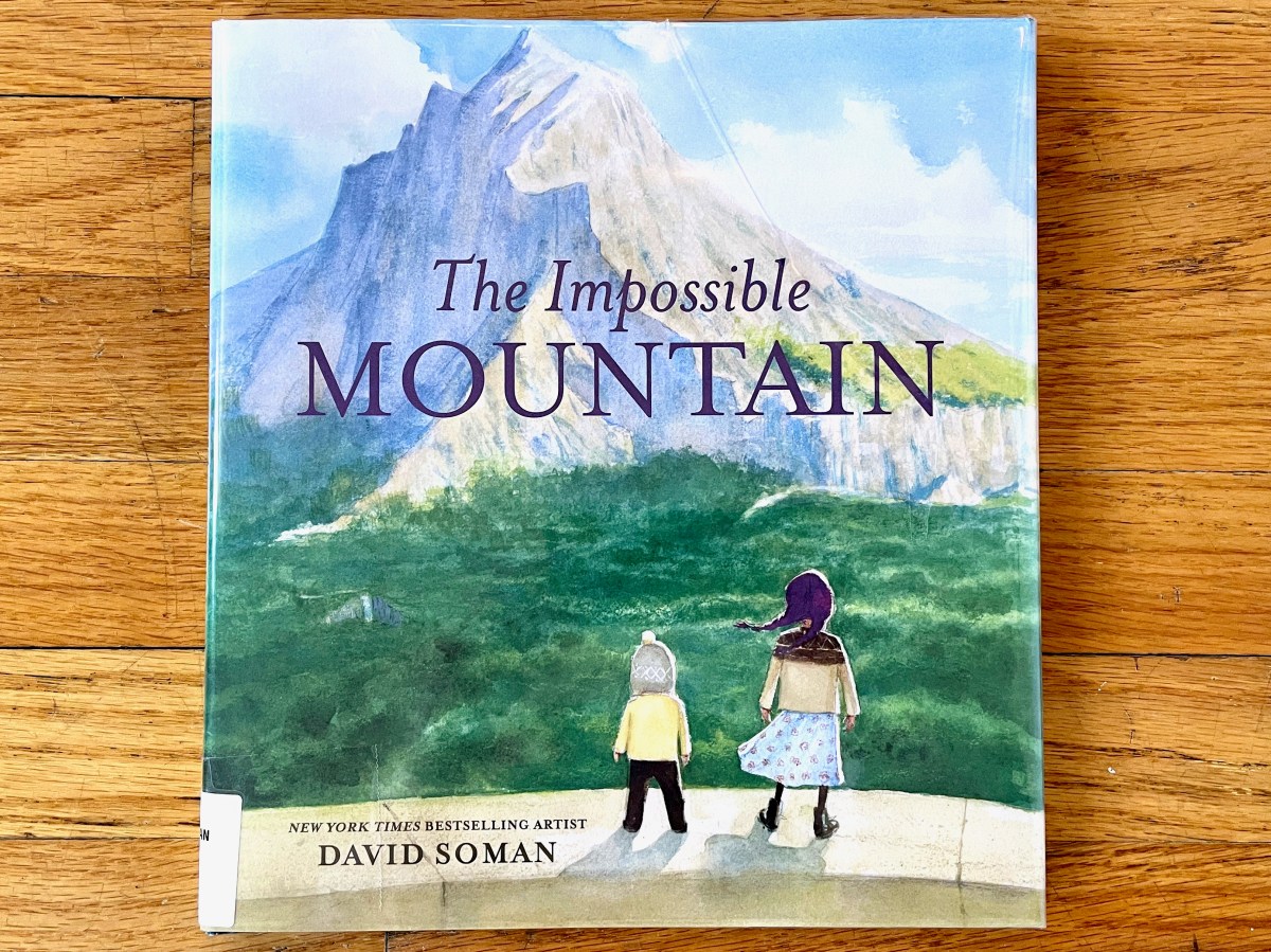 Review: The Impossible Mountain By David Soman – Three Books a Night