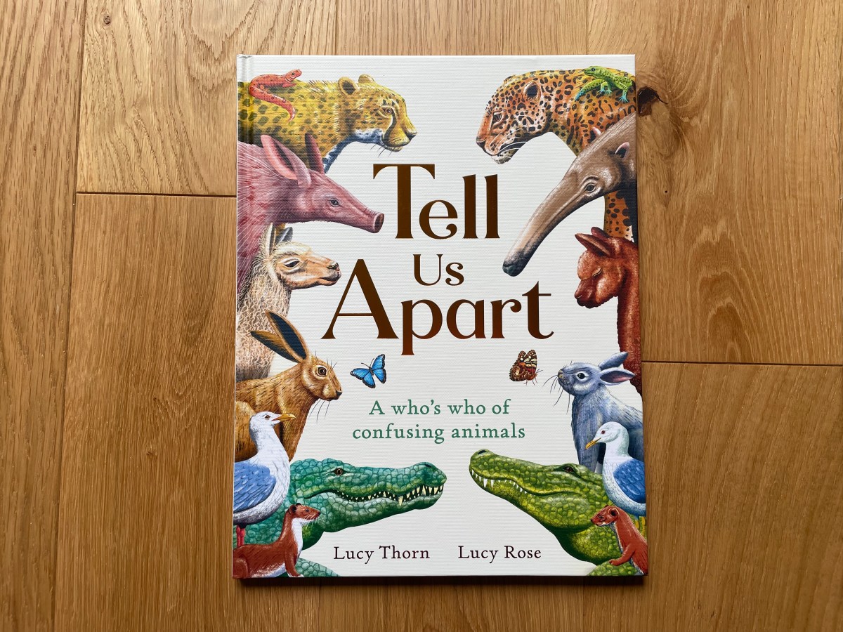 Review: Tell Us Apart By Thorn & Rose – Three Books a Night